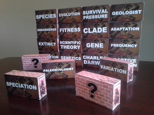 EVOLUTION: WORD WALL | Teaching Resources