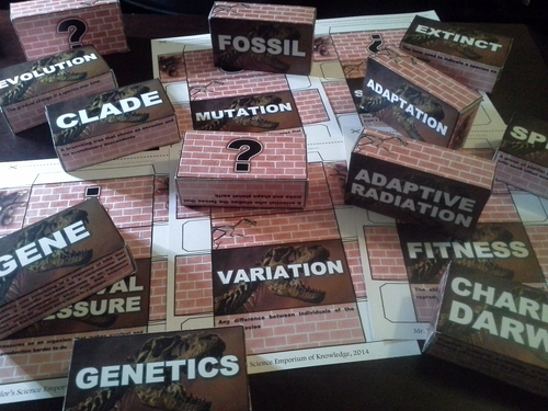 EVOLUTION: WORD WALL | Teaching Resources