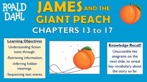 James and the Giant Peach - Huge Bundle! | Teaching Resources
