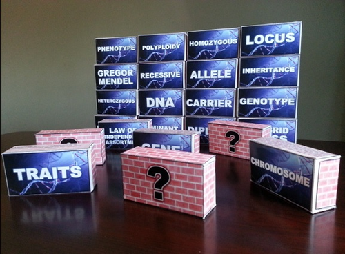 Genetics 3D Word Wall | Teaching Resources