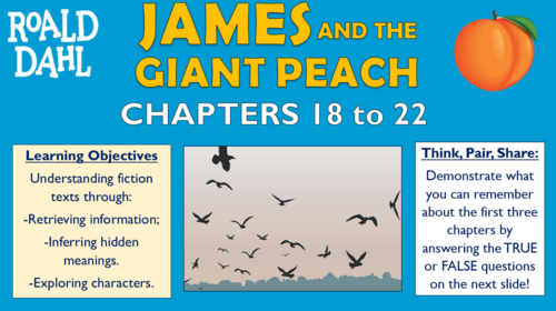 James and the Giant Peach - Huge Bundle! | Teaching Resources