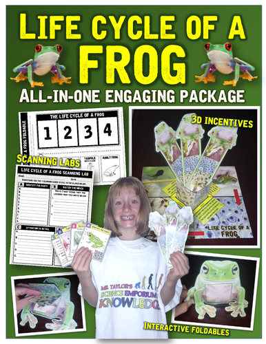 Life Cycle of a Frog | Teaching Resources
