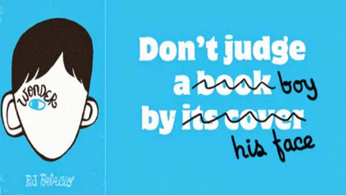 Wonder - Novel Study | Teaching Resources