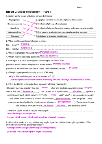 AQA 3.6 Blood Glucose homeostasis - Insulin - Glucagon - Second ...