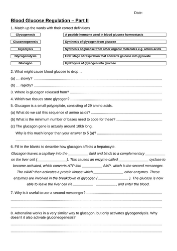 AQA 3.6 Blood Glucose homeostasis - Insulin - Glucagon - Second ...