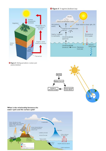 A Level Water & Carbon Cycles | Teaching Resources