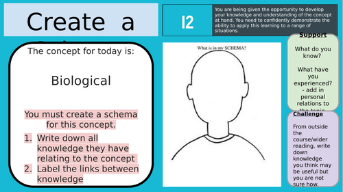 WJEC Unit 2 Criminology - Full Unit | Teaching Resources