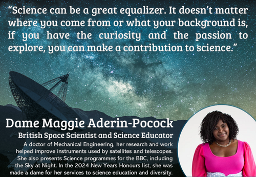 Famous Women in Science Posters - Inspirational Quotes Poster Pack ...