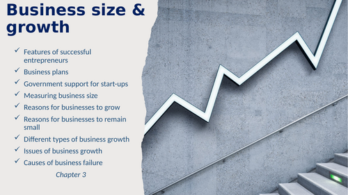 Business Studies 0450 IGCSE Enterprise, business growth & size 1.3 ...