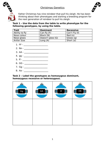 Christmas Genetics | Teaching Resources