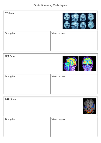 AQA GCSE Psychology - Brain and Neuropsychology Full Unit PPTs ...