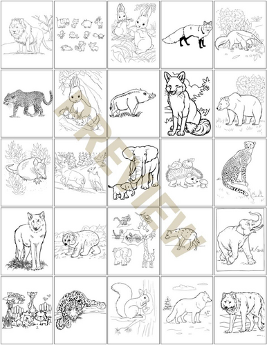 Adventurous Wild Animals Coloring Pages for Kids | Fun Printable PDF ...