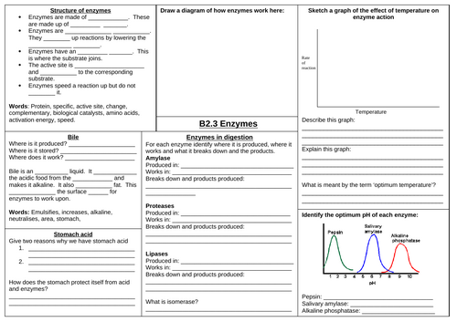 Enzymes | Teaching Resources