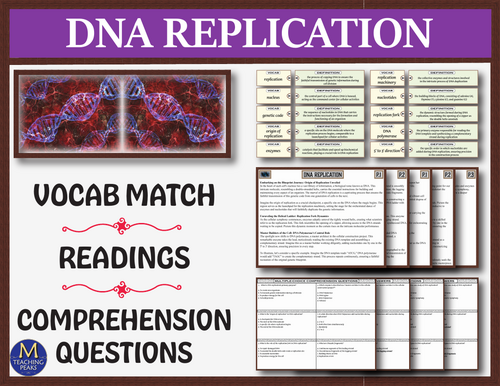 DNA Blueprint: DNA Replication Reading Comprehension & Sort Activity ...