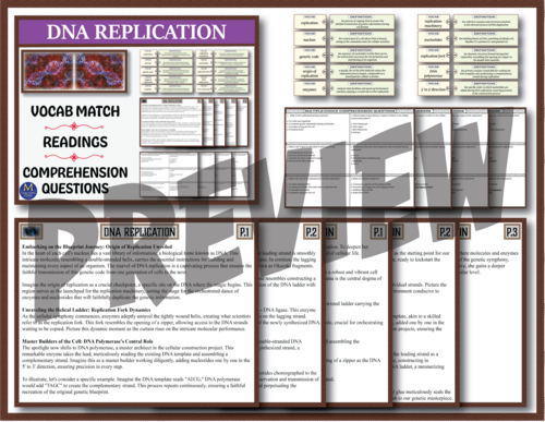 DNA Blueprint: DNA Replication Reading Comprehension & Sort Activity ...