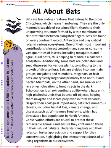 Exploring Bats: Engaging Reading Passage with Quiz Questions | Teaching ...