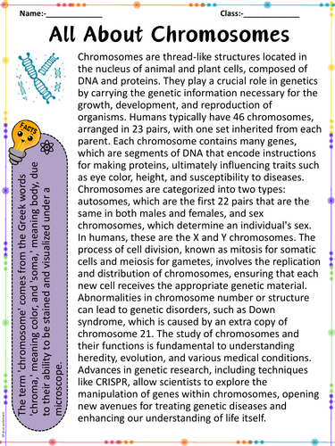 Understanding Chromosomes: Educational Passage with Key Questions ...