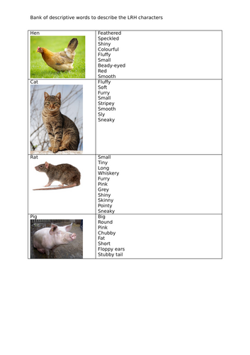 EYFS 'The Little Red Hen' Unit of Work | Teaching Resources