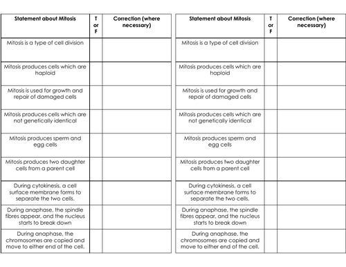 Mitosis & The Cell Cycle Lesson EDEXCEL | Teaching Resources