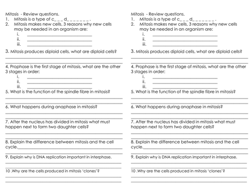 Mitosis & The Cell Cycle Lesson EDEXCEL | Teaching Resources
