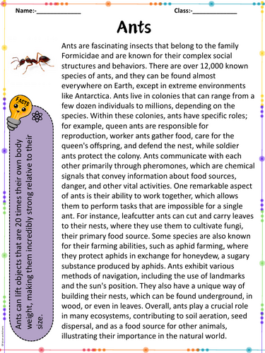 Exploring Ants: Engaging Reading Passage and Insightful Questions ...