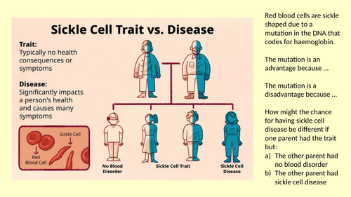 Edexcel GCSE Biology Topic 3 "Genetics" | Teaching Resources