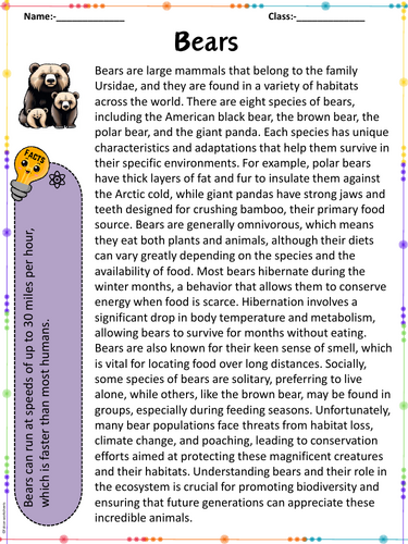 Engaging Bears: Reading Passage and Interactive Questions | Teaching ...