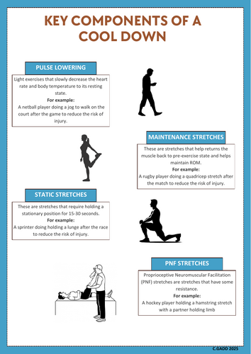 R180- Sports Injuries TA2 Revision (Posters) | Teaching Resources