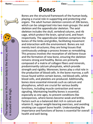 Explore the Fascinating World of Bones: Reading Passage & Questions for ...