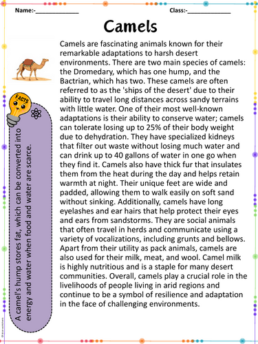 Exploring Camels: Engaging Reading Passage with Interactive Questions ...