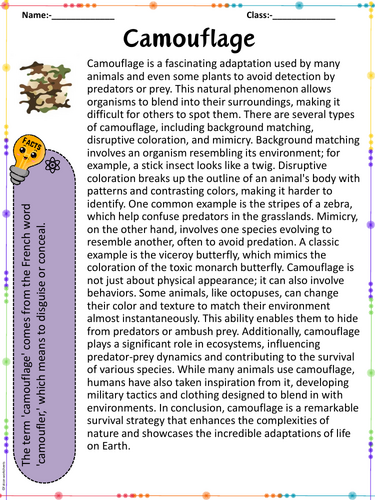 Camouflage Explained: Engaging Reading Passage with Insightful ...