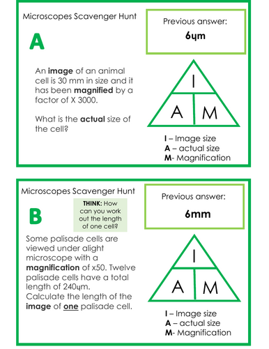 IAM Magnification Equation questions Scavenger Hunt | Teaching Resources