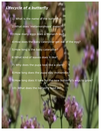 BUTTERFLY LIFE CYCLE LESSON PLAN - PROJECT-BASED LEARNING - ENGLISH ...