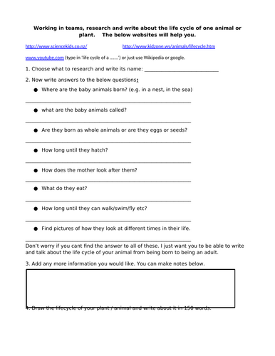 BUTTERFLY LIFE CYCLE LESSON PLAN - PROJECT-BASED LEARNING - ENGLISH ...