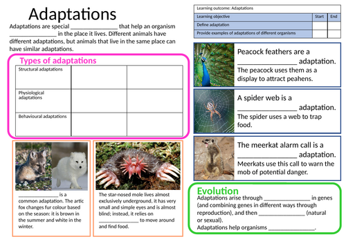 Adaptations introduction | Teaching Resources