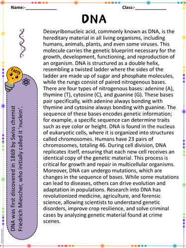 Understanding DNA: Engaging Reading Passage and Insightful Questions ...