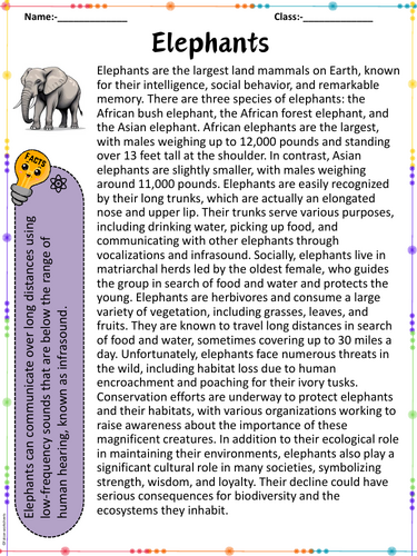 Explore the World of Elephants: Engaging Reading Passage and Thought ...
