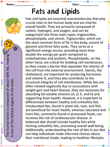 Understanding Fats and Lipids: Engaging Reading Passage with Questions ...