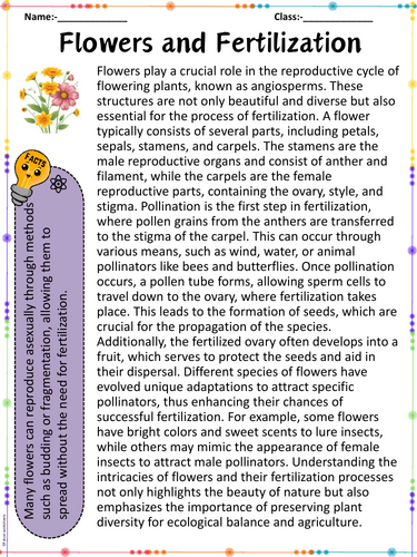 Understanding Flowers & Fertilization: A Comprehensive Reading Guide ...