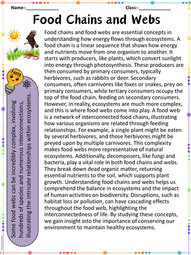 Explore Food Chains and Webs: Engaging Reading Material with Questions ...