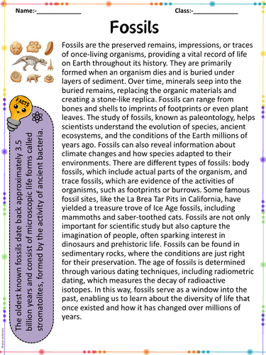 Explore Fossils: Engaging Reading Material and Quiz Questions ...