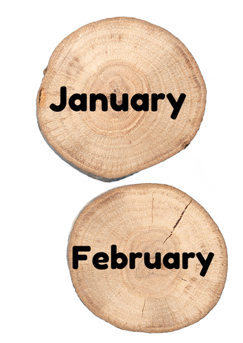 Wood Slices Months, Natural Birthday Display, Reggio Birthday, Reggio ...