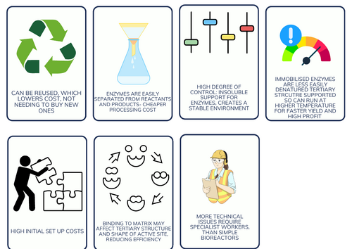 Immobilised enzymes card sort | Teaching Resources