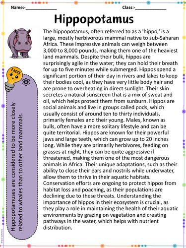 Hippopotamus Exploration: Engaging Reading Passage & Thought-Provoking ...