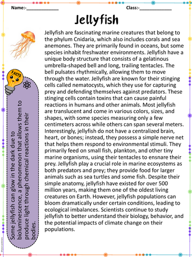 Exploring Jellyfish: Engaging Reading Passage & Thought-Provoking ...