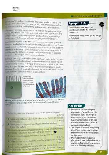 AQA GCSE Biology - Diffusion | Teaching Resources