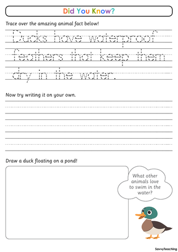 Animal Facts Handwriting Workbook – KS1 Writing Practice (49 Pages ...
