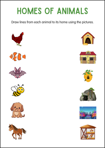 Homes of Animals Activity Worksheets for Grade 2, 3, 4 - Animals and ...