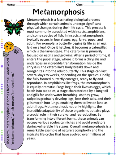 The Metamorphosis: Engaging Reading Passage with Thought-Provoking ...