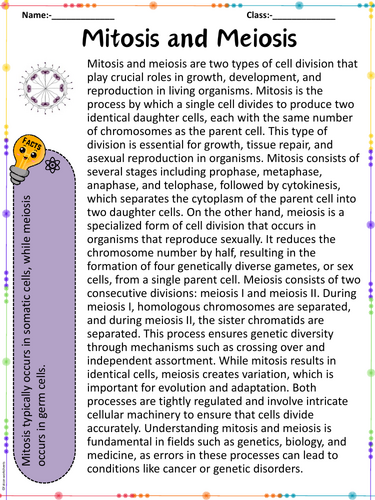 Understanding Mitosis and Meiosis: Key Concepts and Interactive ...